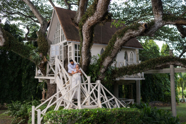 Hermosa Boda en Hacienda Don Carmelo, Vega Baja