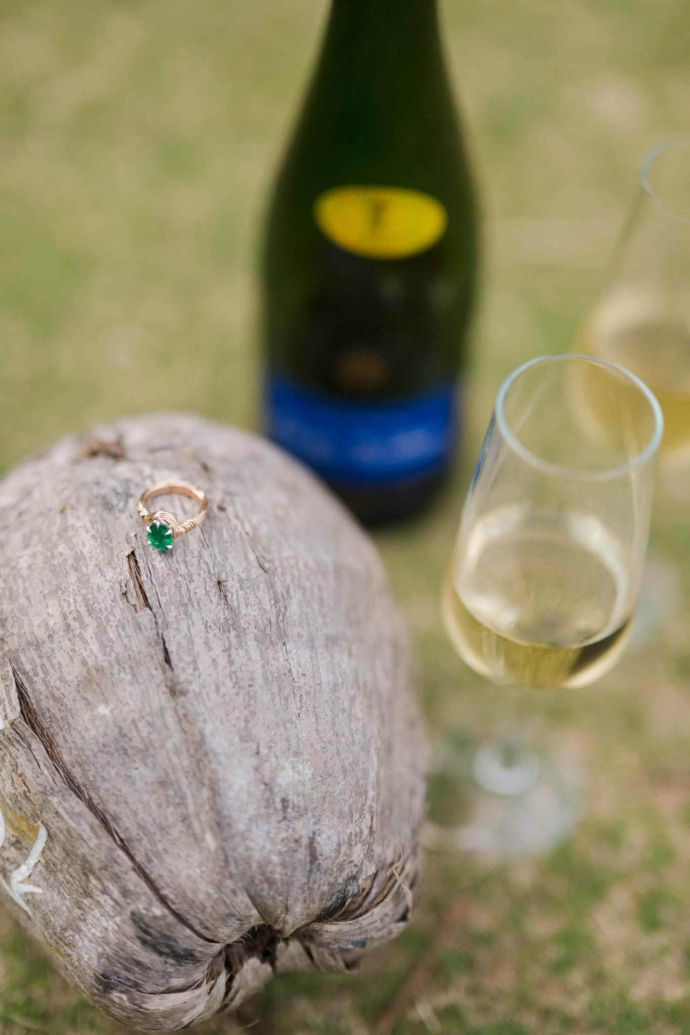 Royal Isabela Photos of a Romantic Surprise Proposal by Puerto Rico ...